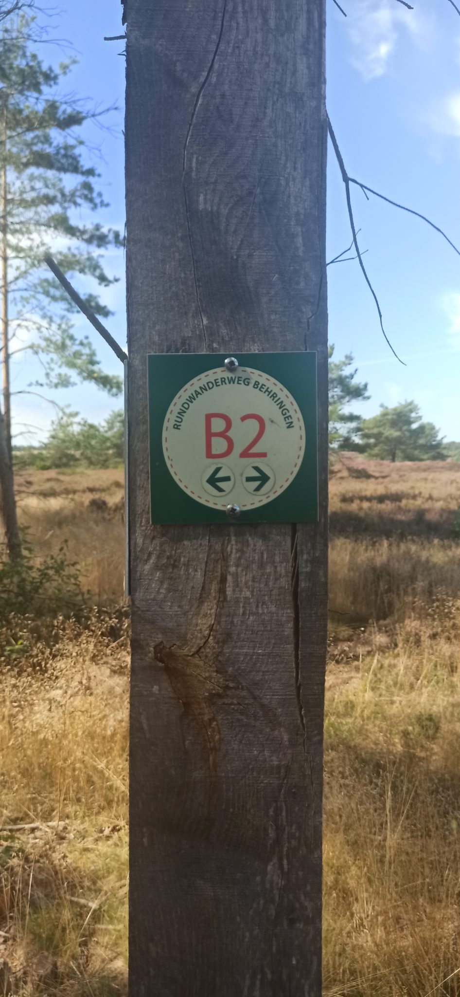 Auf dem Wanderweg B2 durch die blühende Behringer Heide – Wind und ...